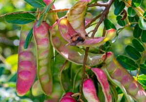 DOC Japan株式会社